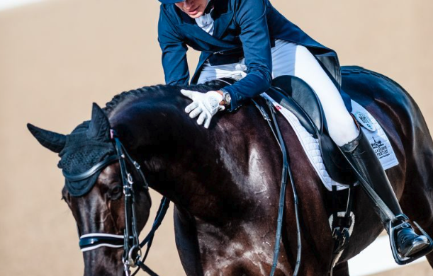 Liz Halliday Update 9/11: A Good Day | Eventing Nation - Three-Day ...
