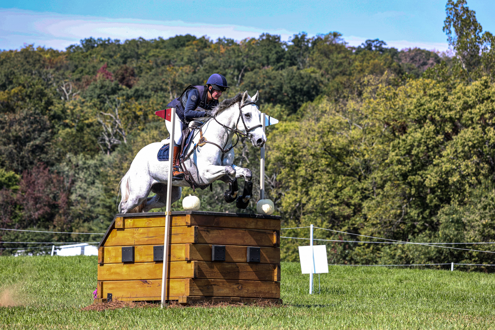 The Action Continues at Defender Kentucky: Live Blog from the 5 ...