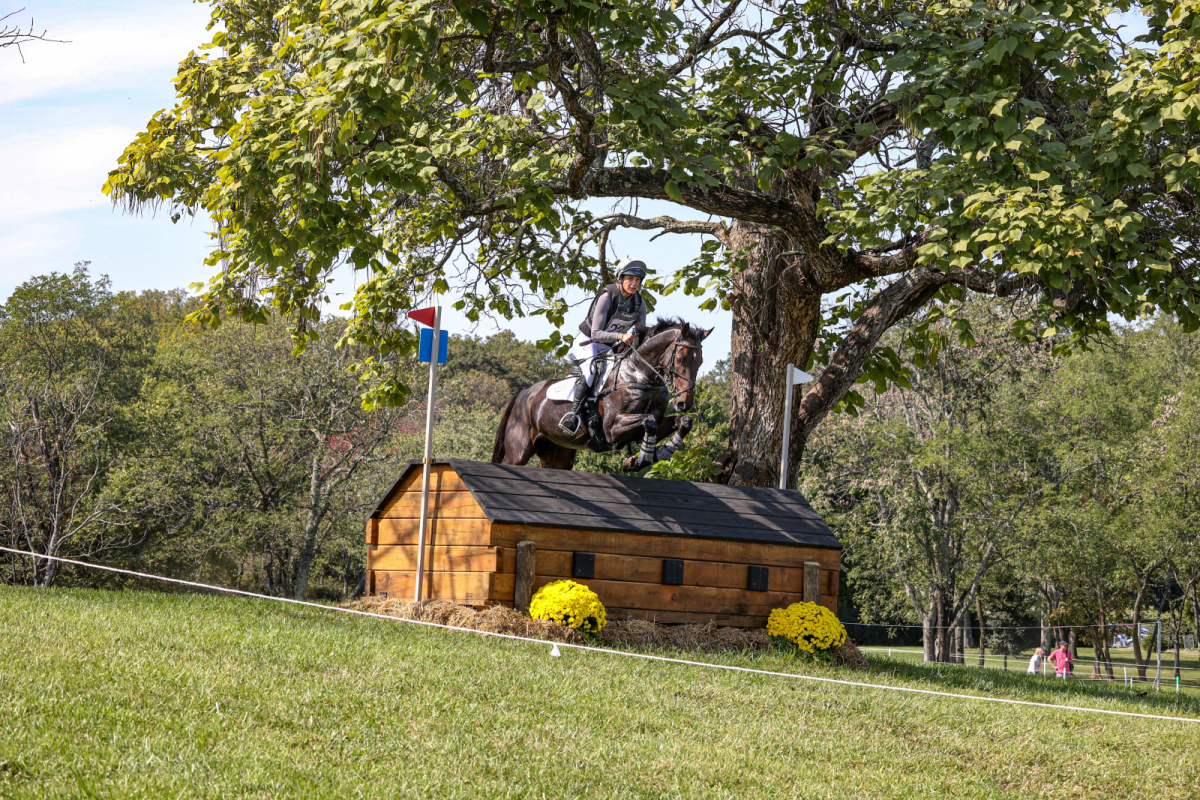 ‘One Step at a Time’: Lucienne Bellissimo Aims for 5* Debut at Defender ...