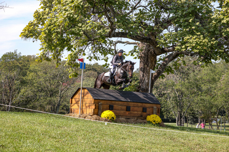 ‘One Step at a Time’: Lucienne Bellissimo Aims for 5* Debut at Defender ...