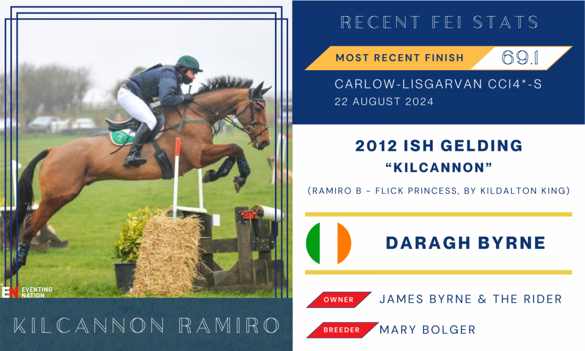 Our Pyrenees Ponies: Your Form Guide to Les 5 Étoiles de Pau 2024 ...