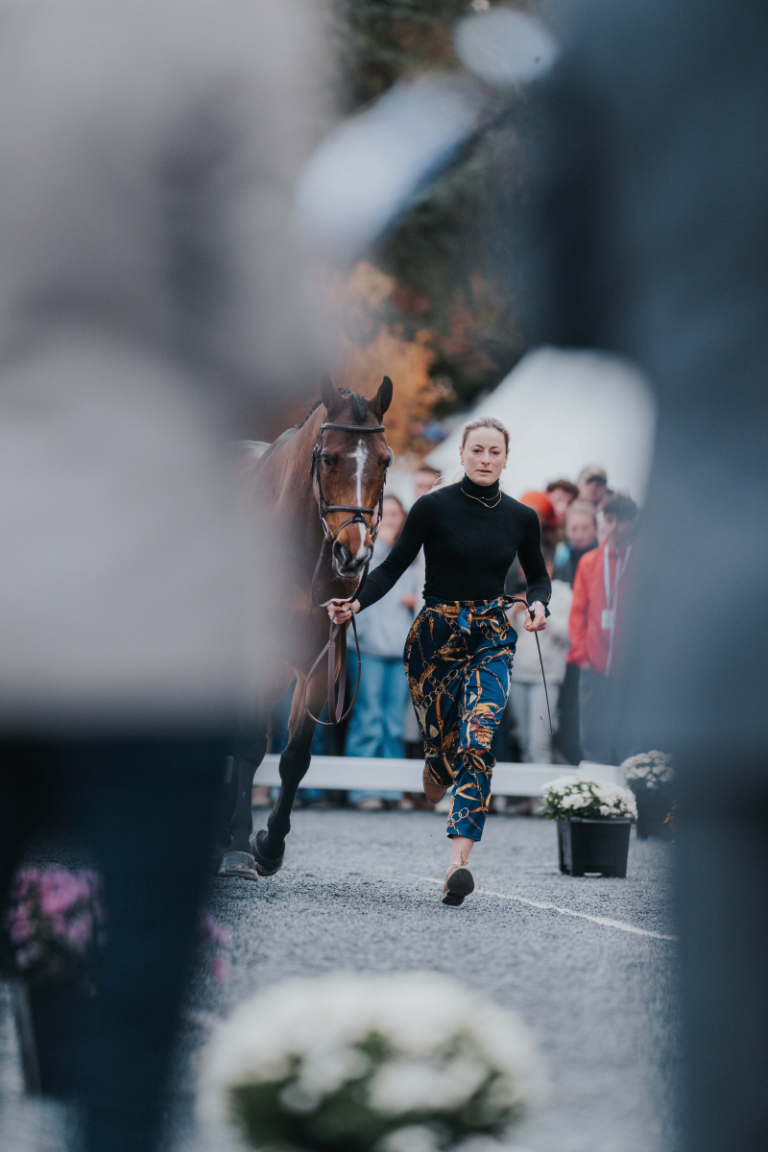 One Horse Spun; Five Held at Pau Final Horse Inspection | Eventing ...
