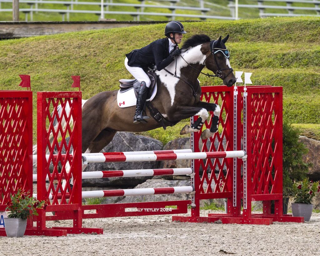 Sport Horse Nation Spotlight: 7 Eventers with a Splash of Color | Eventing Nation - Three-Day ...