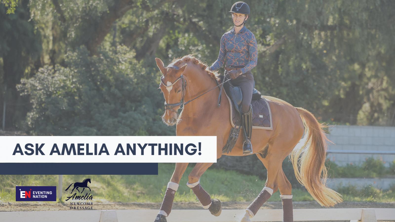 Ask Amelia Newcomb Anything: 3 Things for Eventers to Remember about ...
