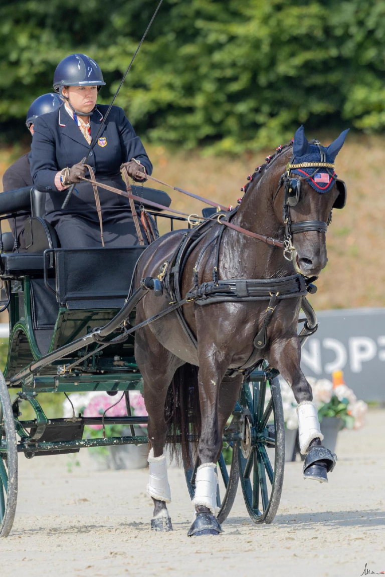 2025 Annie Goodwin Rising Star Grant Recipient: Taylor Bradish ...