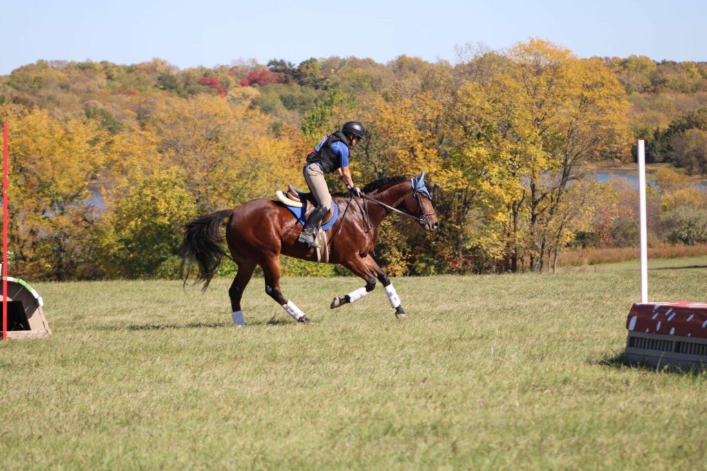 Classic Eventing Nation | Eventing Nation - Three-Day Eventing News ...