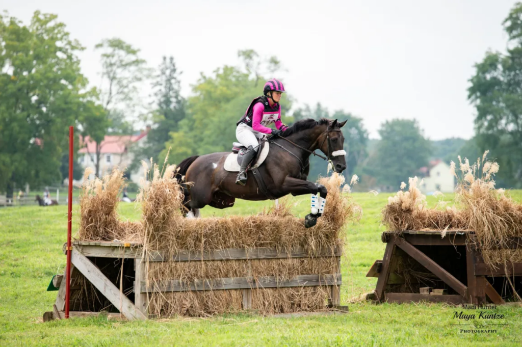 Sport Horse Nation Spotlight: 7 TB Mares + Promo Code for FREE OTTB Listings | Eventing Nation ...