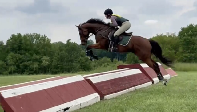 Classic Eventing Nation | Eventing Nation - Three-Day Eventing News ...