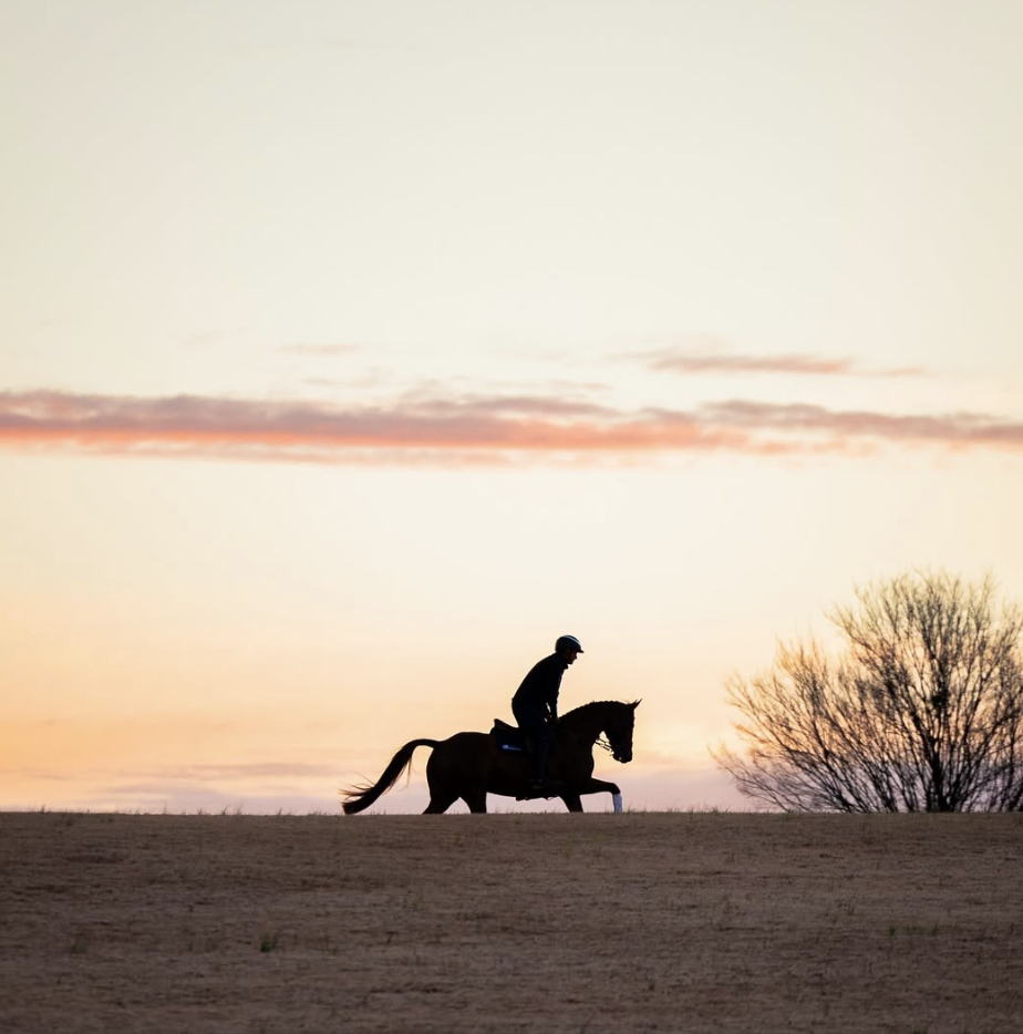 Weekend Winners: Bouckaert, Southern Pines, SAzEA, & Full Gallop ...