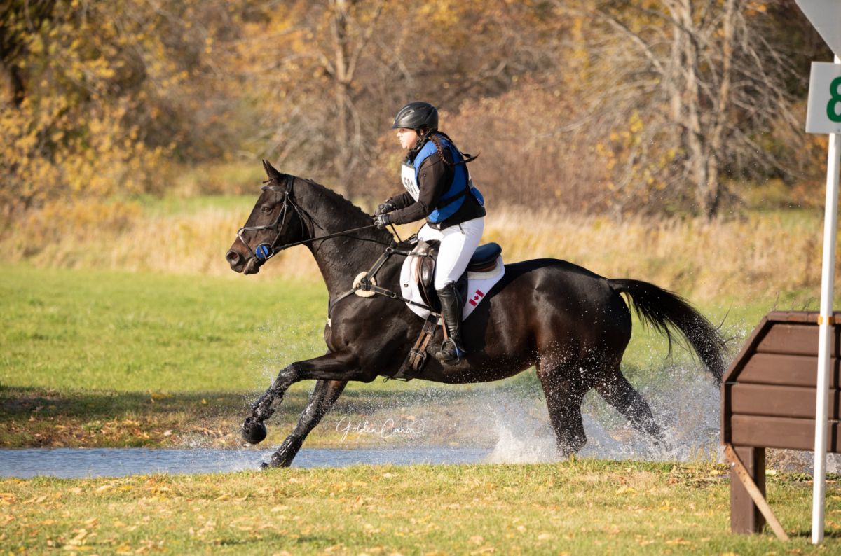 Classic Eventing Nation | Eventing Nation - Three-Day Eventing News ...