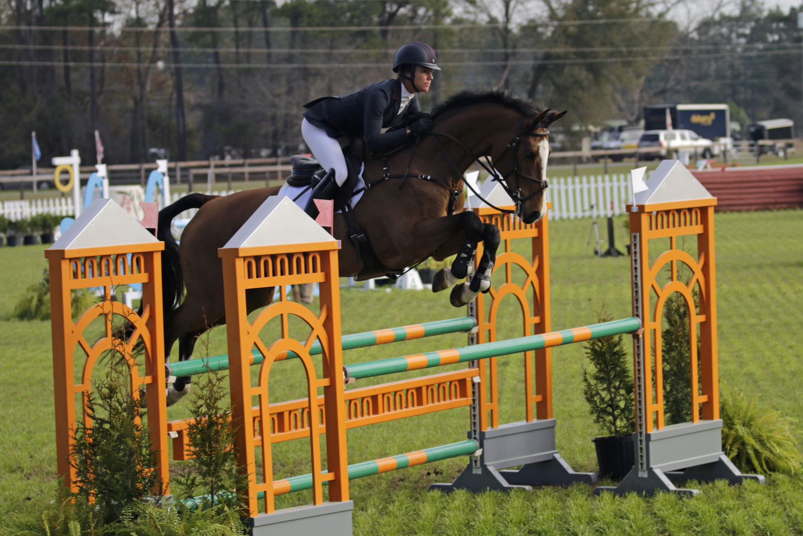 Classic Eventing Nation | Eventing Nation - Three-Day Eventing News ...
