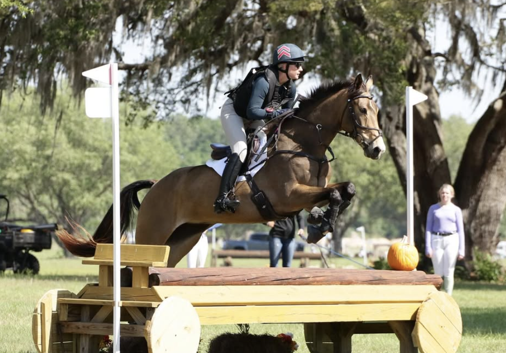 Weekend Winners: Ocala, Fair Hill, Meadowcreek Park, Sporting Days ...