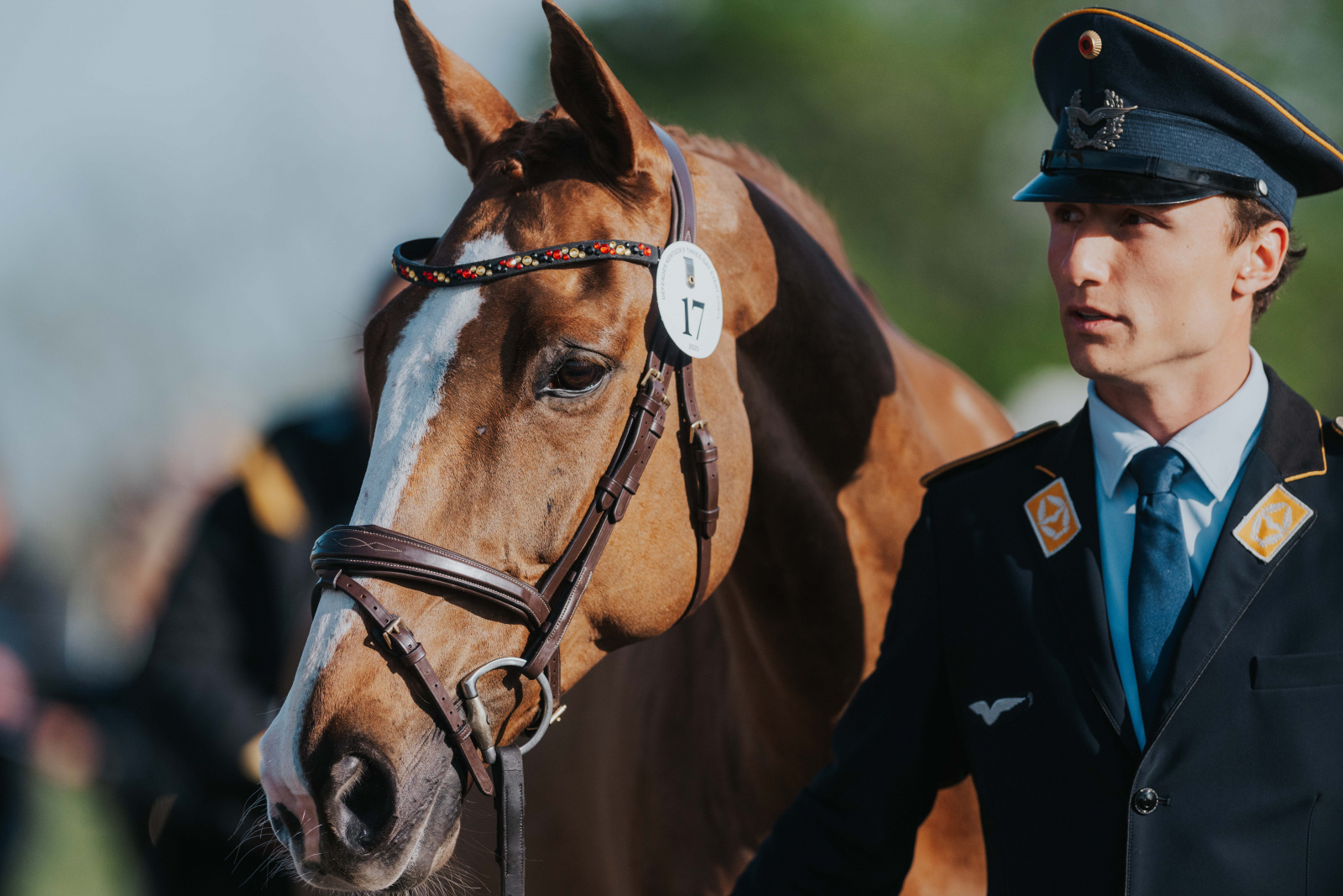 Two Held, One Withdrawn: 23 Move Forward to the Final Phase of the ...