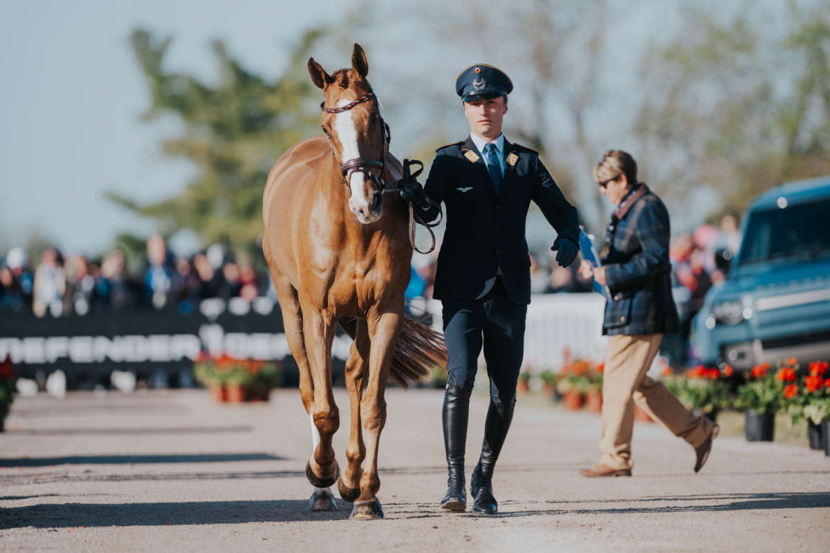 Classic Eventing Nation | Eventing Nation - Three-Day Eventing News ...