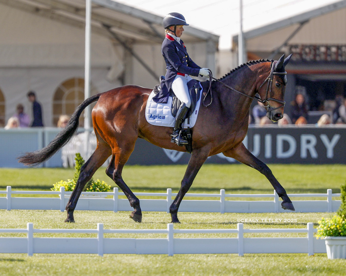 Friday Morning at Badminton: Ros Canter Makes Close Bid | Eventing ...