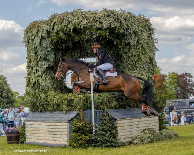 Bird Takes Flight at Badminton | Eventing Nation - Three-Day Eventing ...