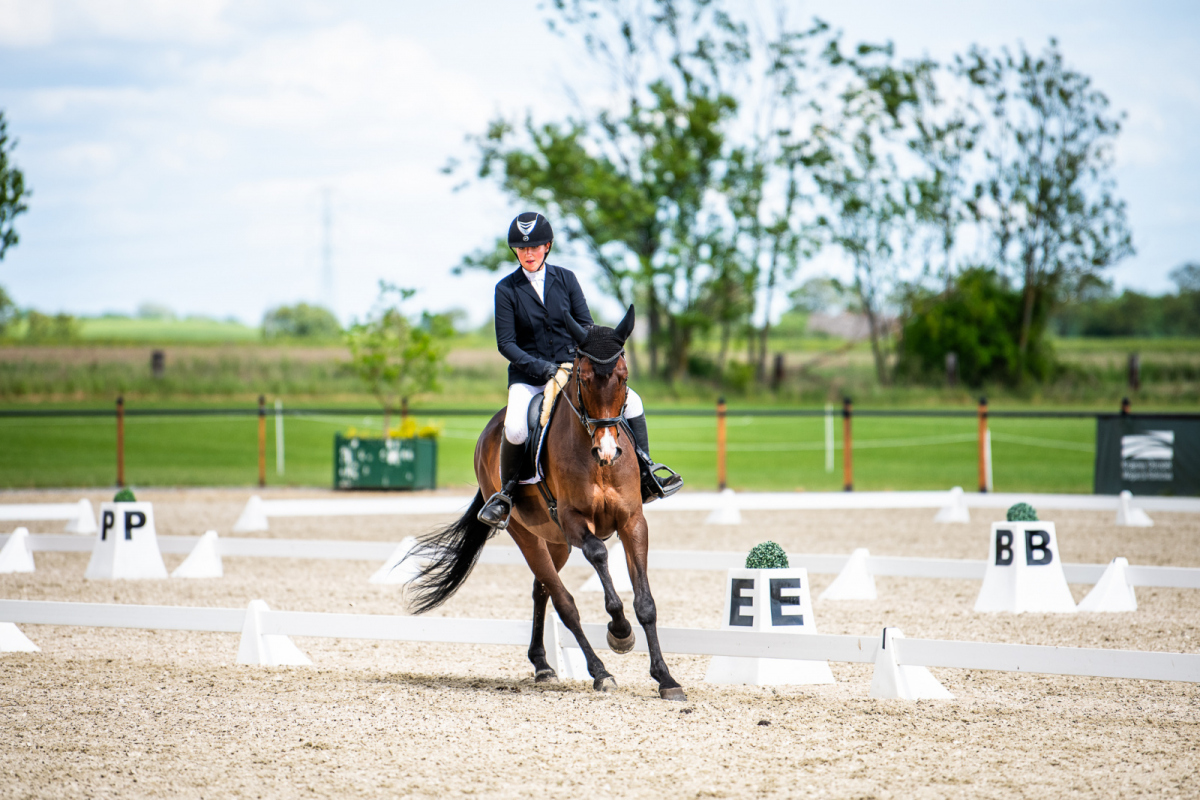 Classic Eventing Nation | Eventing Nation - Three-Day Eventing News ...