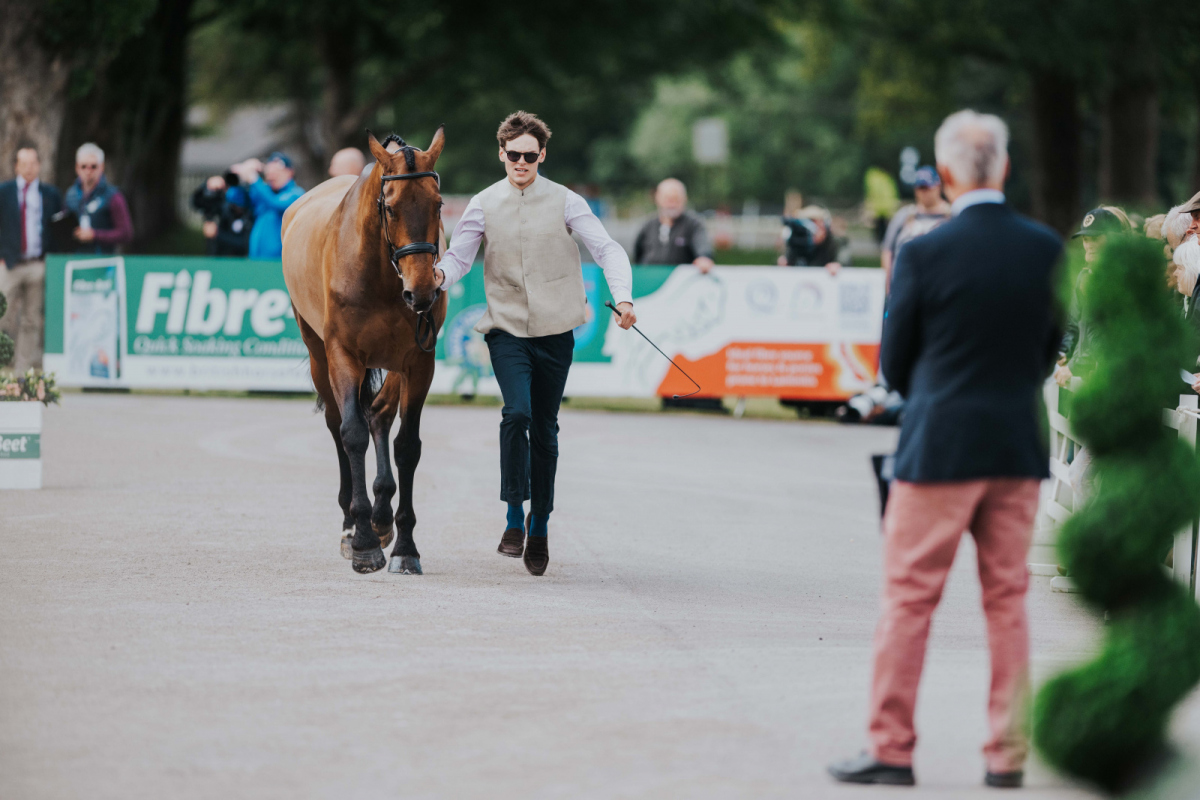 One Horse Out; Several Minds Apparently Lost Completely at Bramham ...