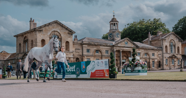 One Horse Out; Several Minds Apparently Lost Completely at Bramham ...