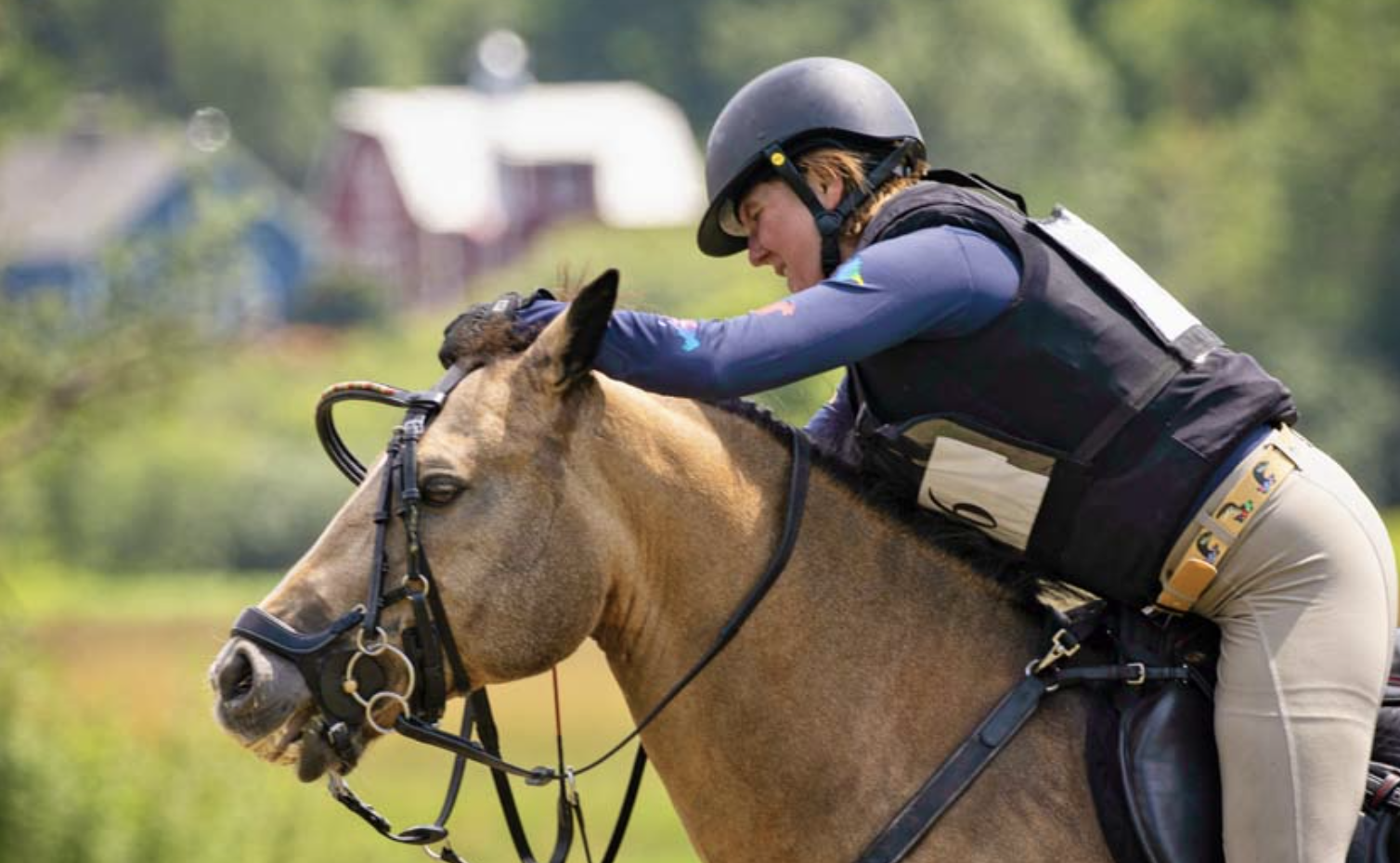 Wednesday News & Notes from Loch Moy Farm | Eventing Nation - Three-Day ...