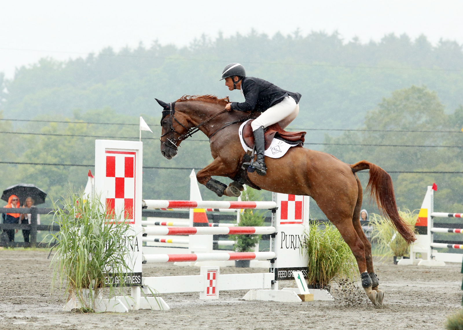 Boyd Martin and Miss Lulu Herself Win Advanced Division at 40th Annual ...