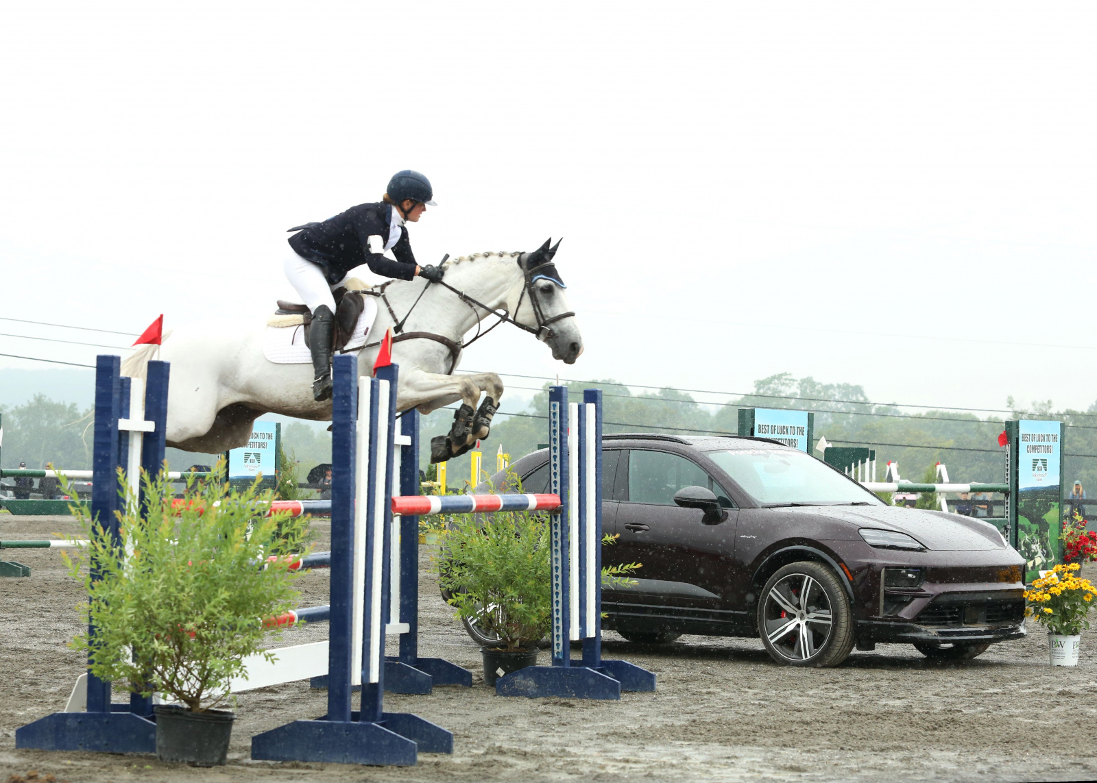 Boyd Martin and Miss Lulu Herself Win Advanced Division at 40th Annual ...