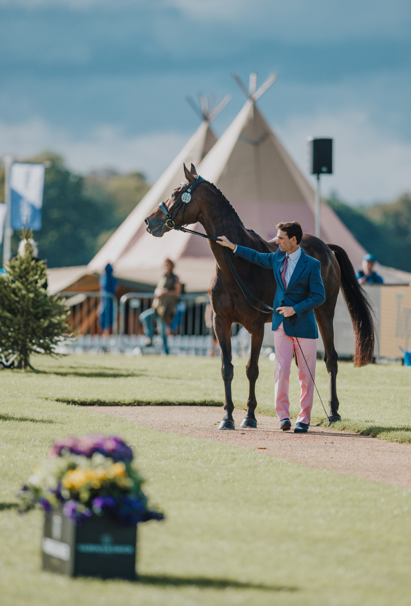 FHI_HarryMeade_ETHOPDUMATZ-1 | Eventing Nation - Three-Day Eventing ...