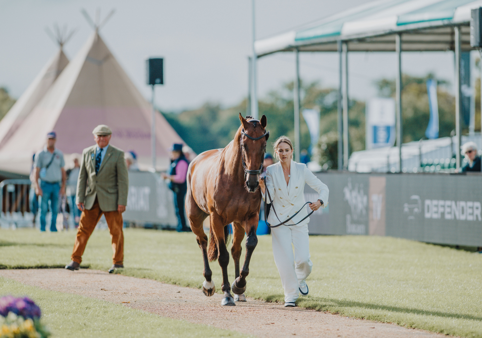 FHI_LaurenInnes_GLOBALFISIONM-1 | Eventing Nation - Three-Day Eventing ...