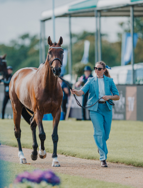 The Rest is Still Unwritten: Drama at Burghley’s First Horse Inspection ...