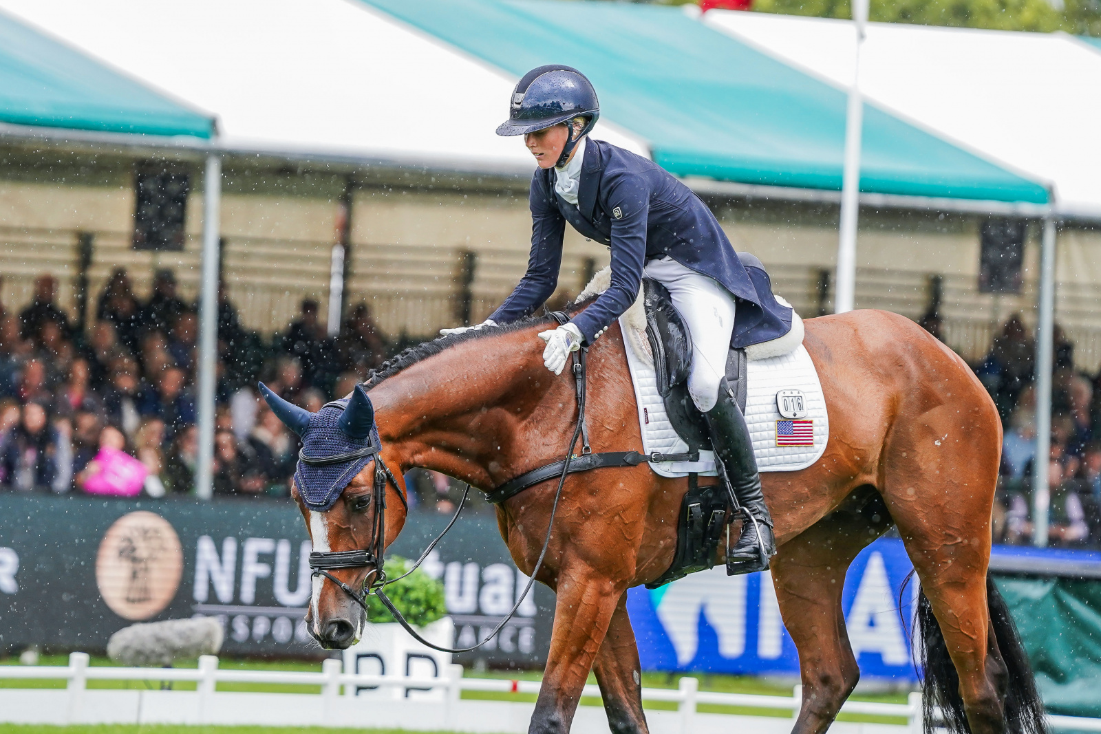 Thursday Morning at Burghley: David Doel’s Back with a Bang | Eventing ...