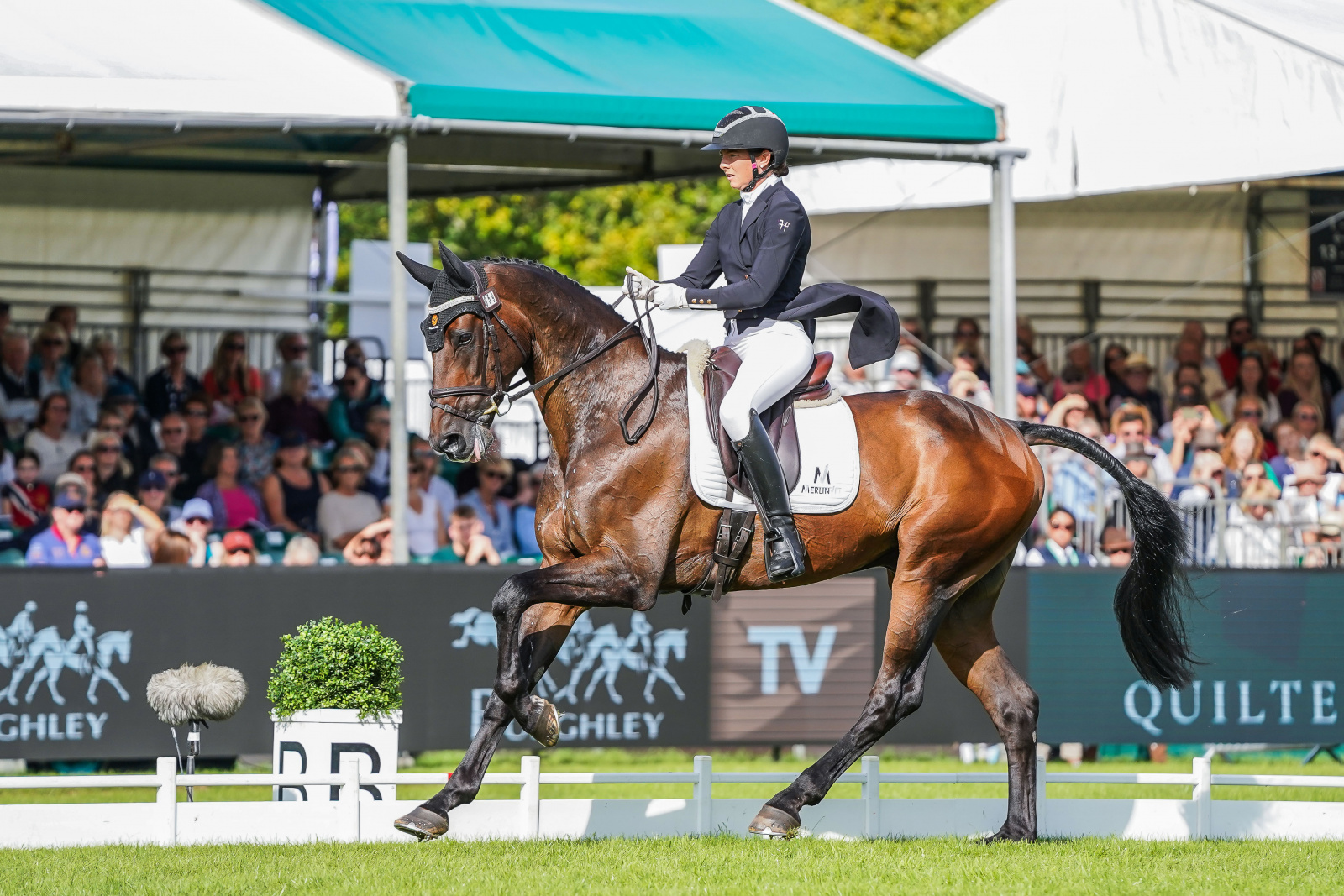 Every Rose: Townend Tops Burghley Dressage Leaderboard with a Great ...