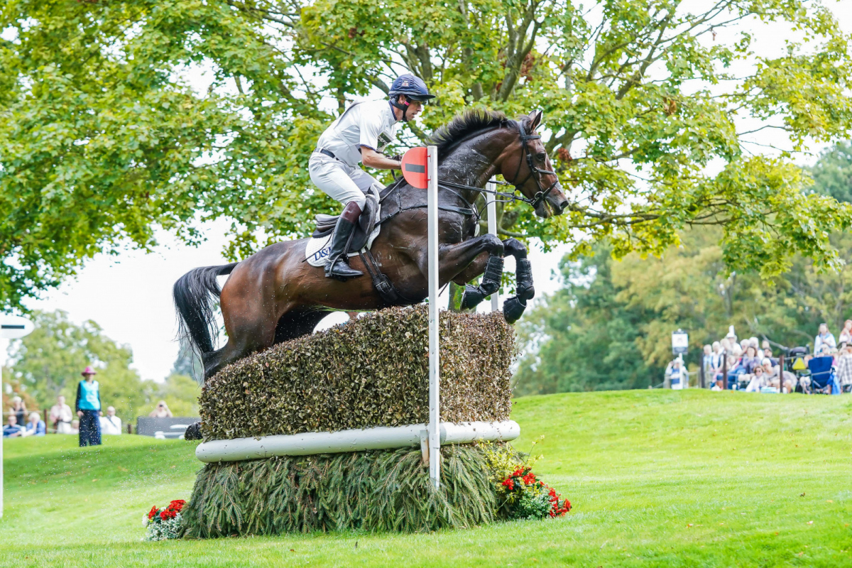 Sunday Links | Eventing Nation - Three-Day Eventing News, Results ...