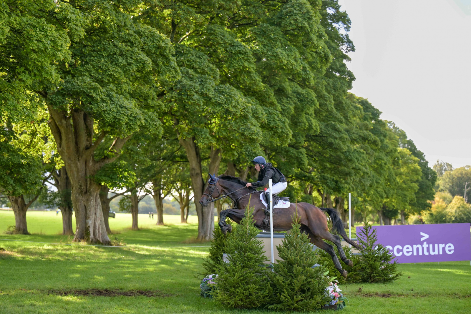 Tom McEwen Blazes Ahead at Cornbury House Horse Trials | Eventing ...