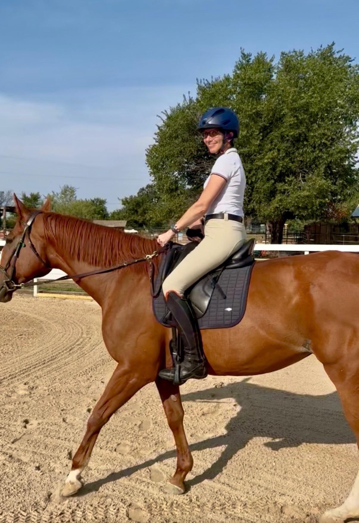 A New Update from Liz Halliday: Back in the Saddle and Other Recovery ...