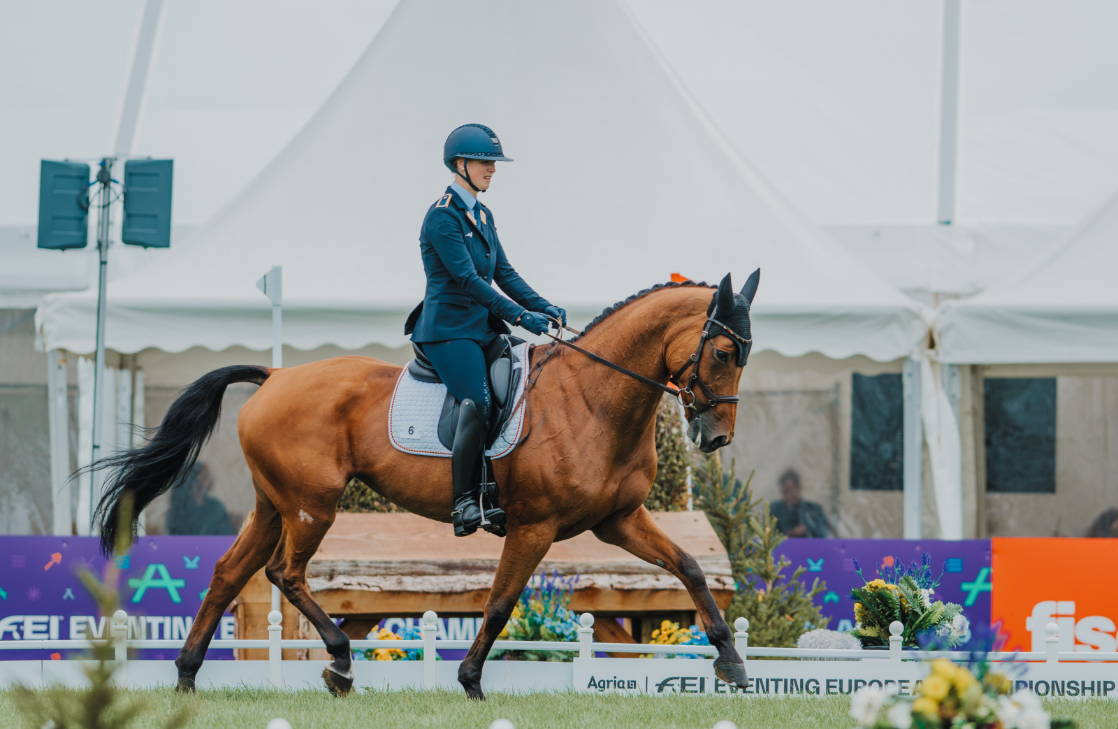 “Nothing Can Beat That Week”: Former Blenheim Winner Leads the Way on ...