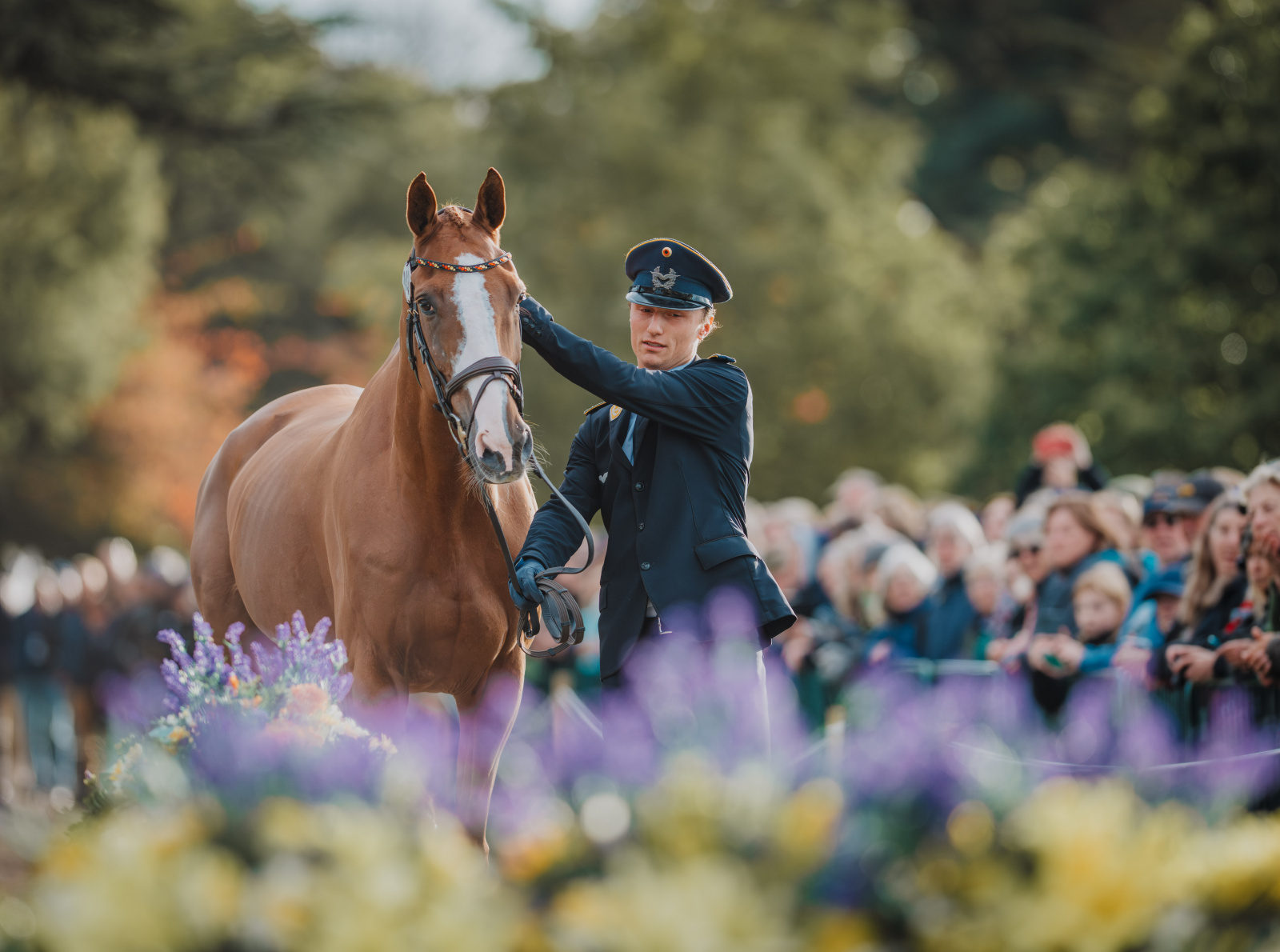 One Withdrawal, But All Presented Pass Deliciously Uneventful Europeans ...