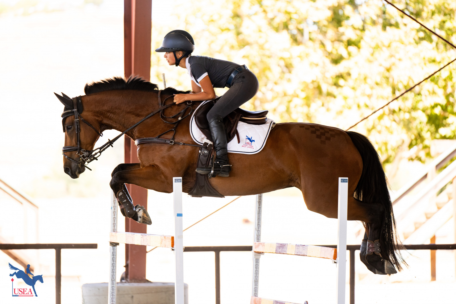 USEA Names Athletes For Winter 2025-2026 EA21 National Camp | Eventing ...