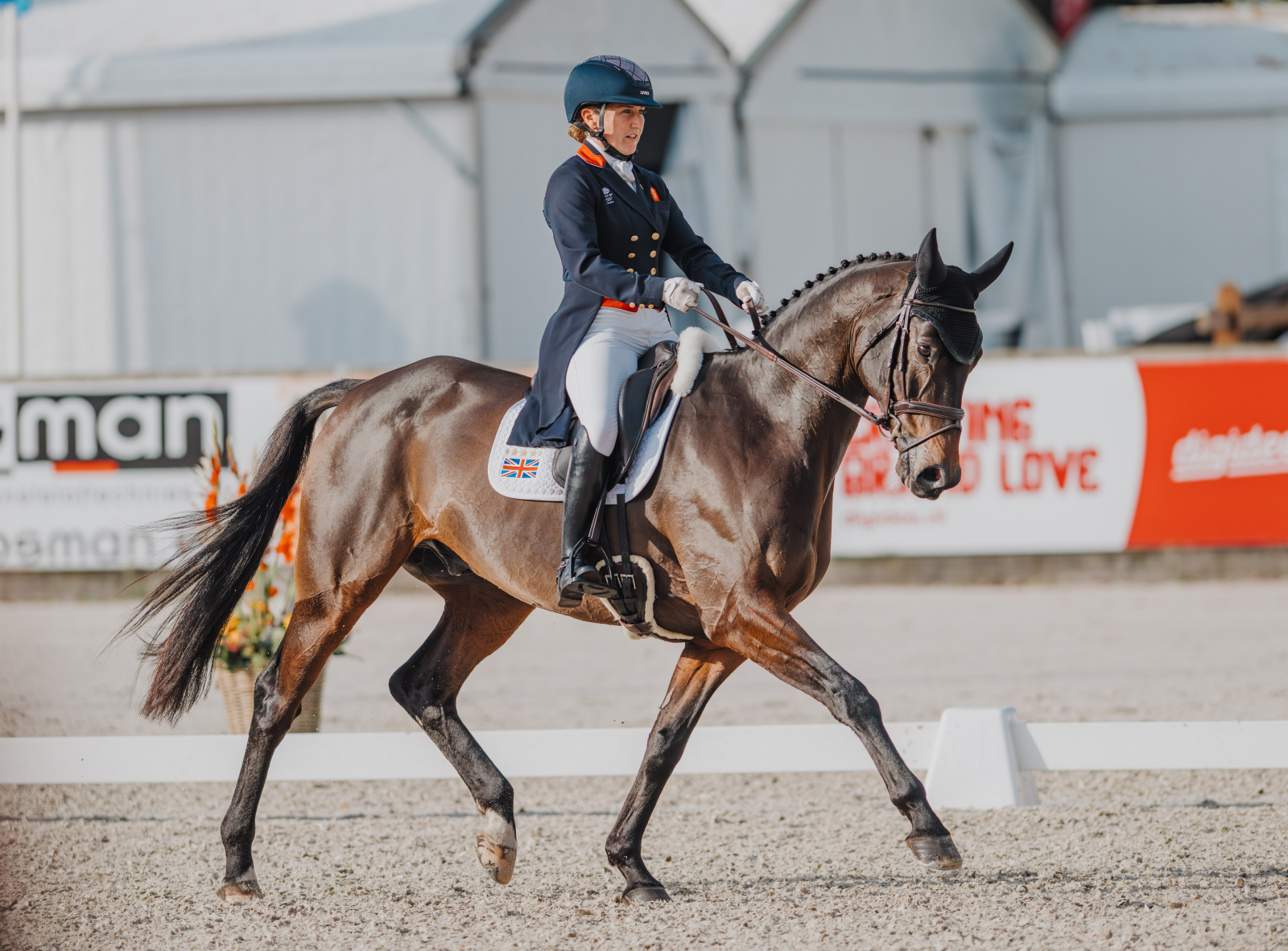 Laura Collett Takes Boekelo Dressage Lead on Rising Star New Ride ...