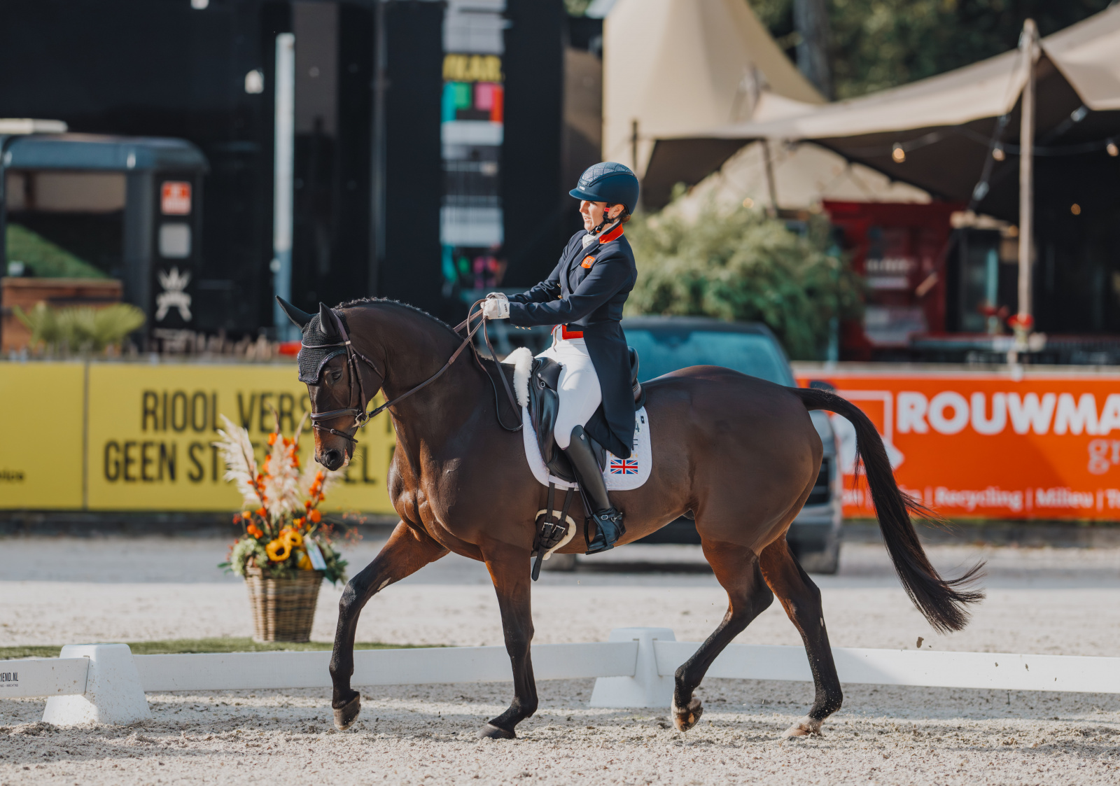 Laura Collett Takes Boekelo Dressage Lead on Rising Star New Ride ...