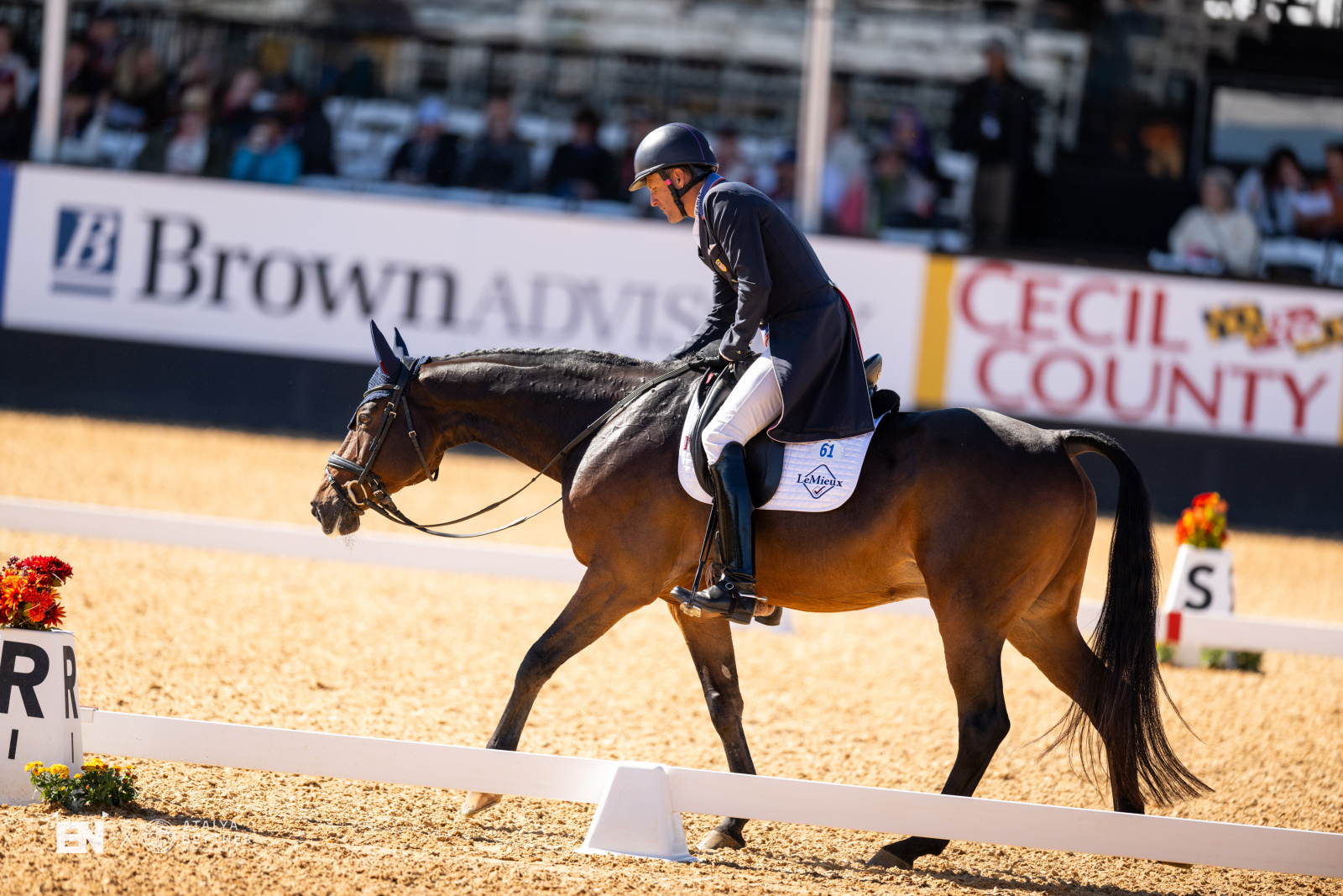 Day One at the MARS Maryland 5 Star: The Open Champion Leads, and the ...