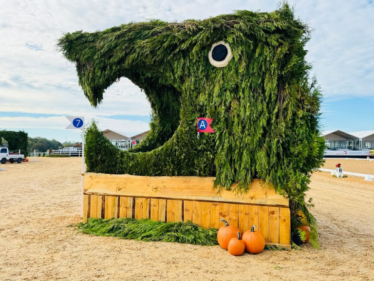 Follow Along with the Live Cross Country Action from MARS Maryland 5 ...