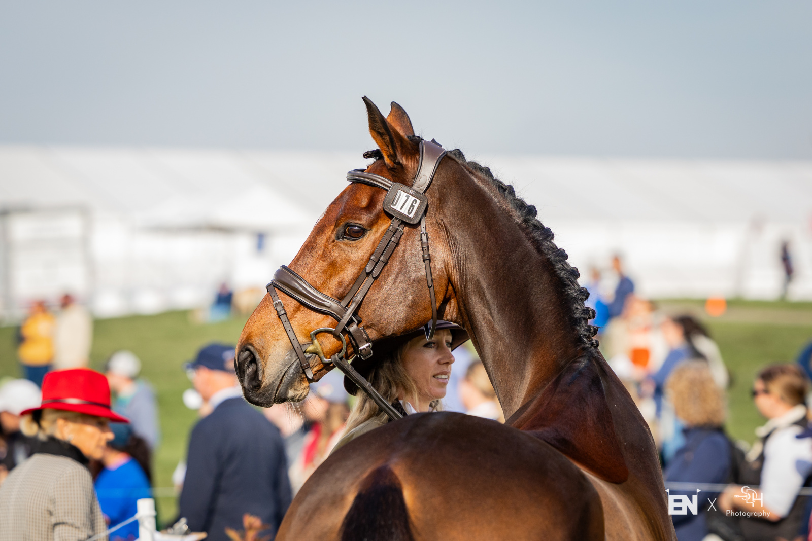 All Horses Sail Through Final CCI5* Horse Inspection at MARS Maryland 5 ...