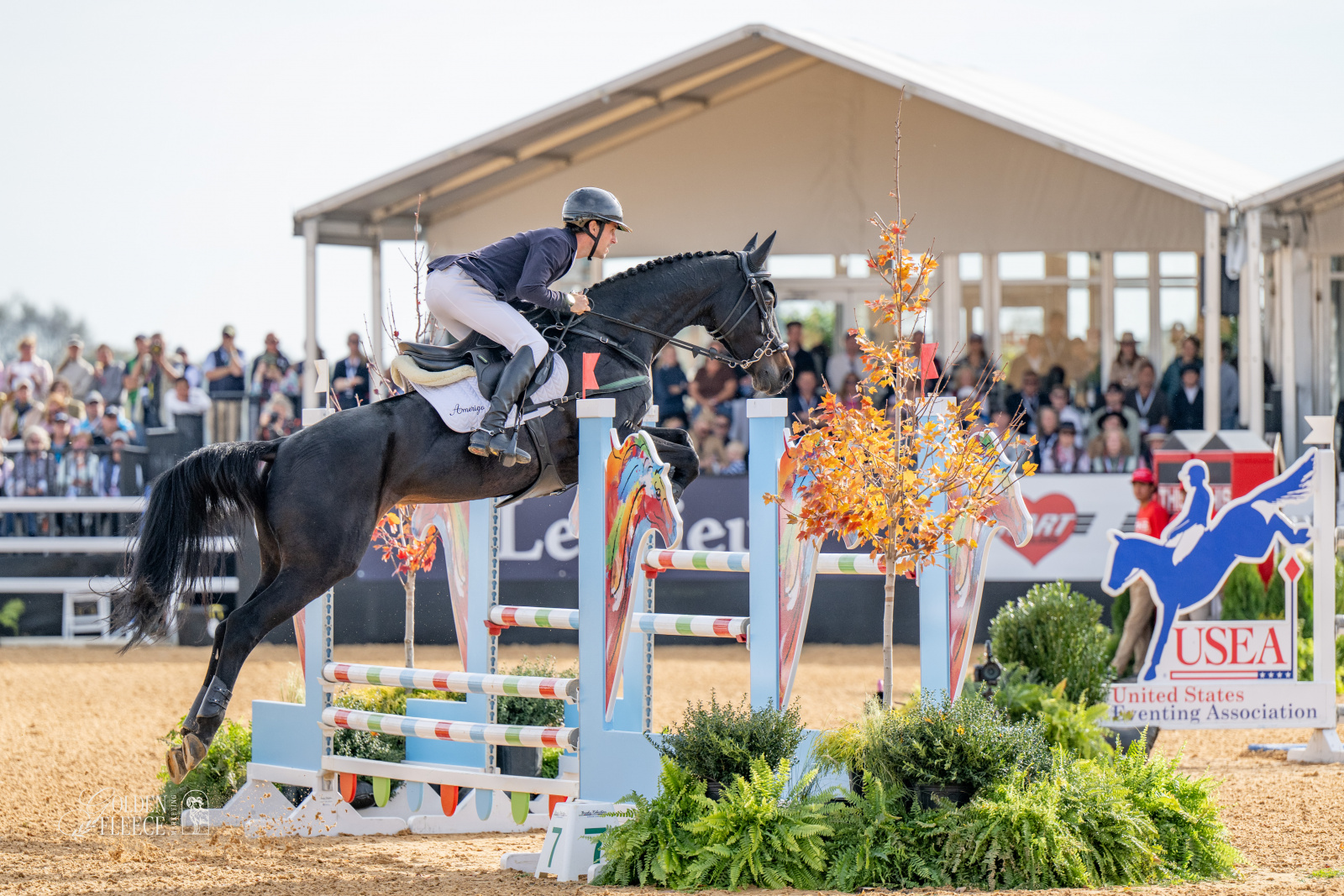Monday News & Notes from The Event at TerraNova | Eventing Nation ...