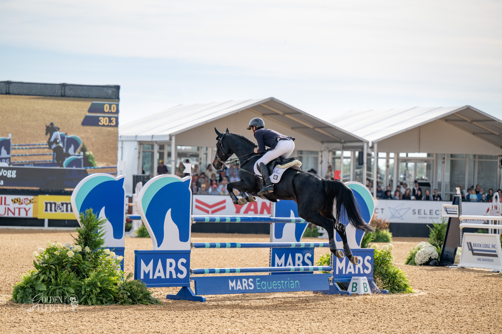 All the Way Up: Felix Vogg Makes (More) History for Switzerland with ...