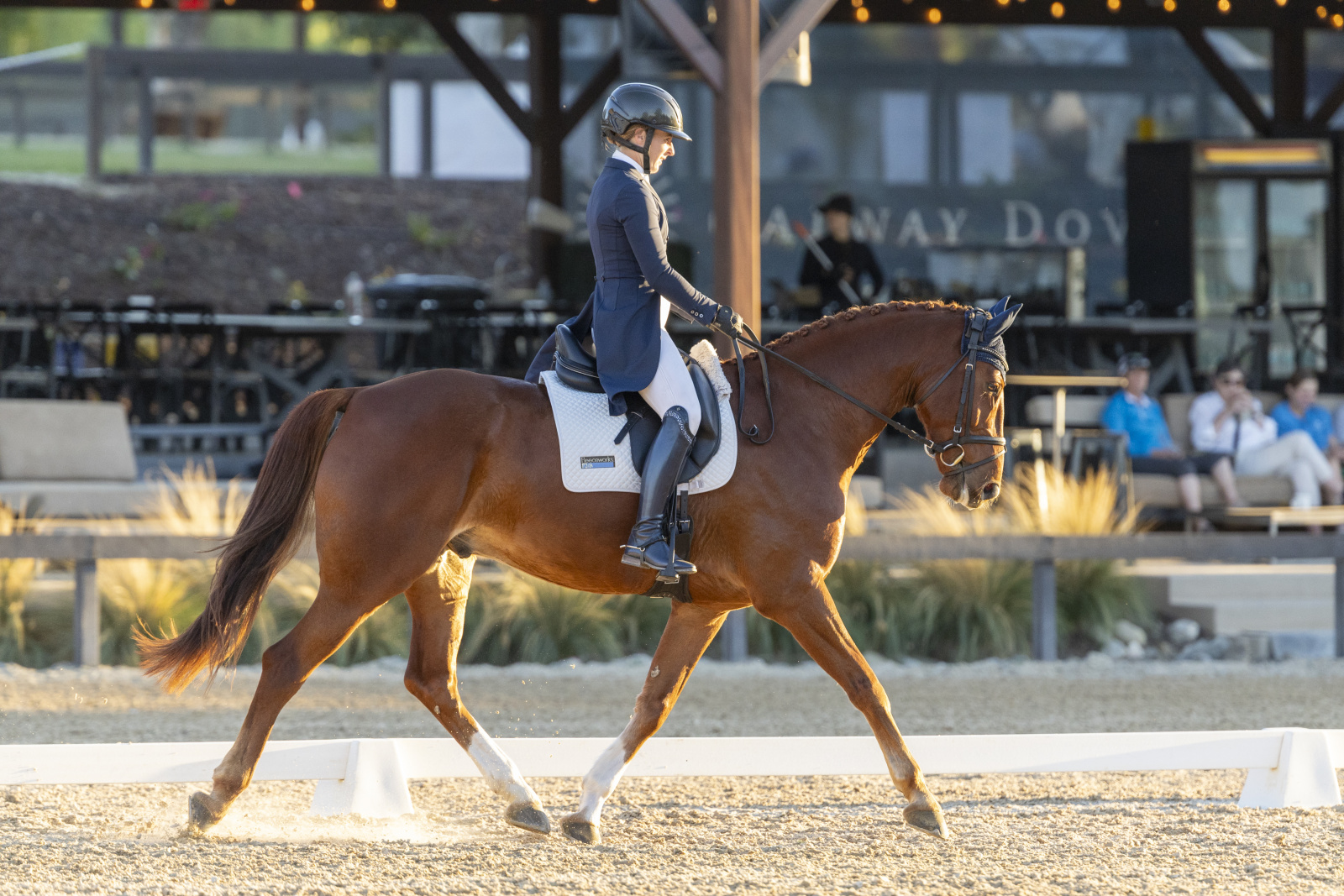 The Eventing Championships at Galway Downs: Smith, Duda, Vedder and ...