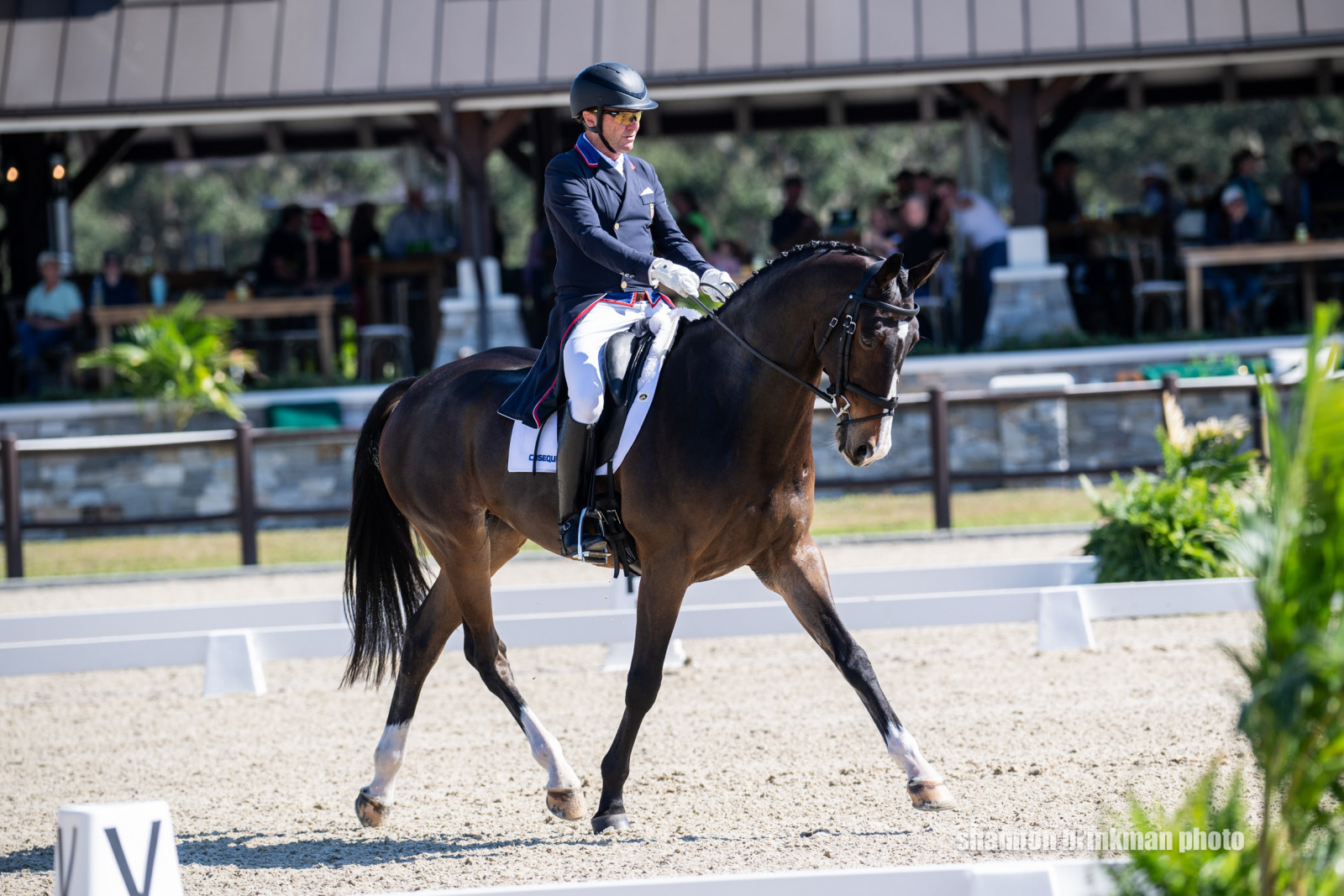 Phillip Dutton, Will Coleman Top CCI4*-L/S Following Day One at The Event at TerraNova ...
