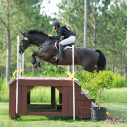 Eventing News | Eventing Nation - Three-Day Eventing News, Results ...