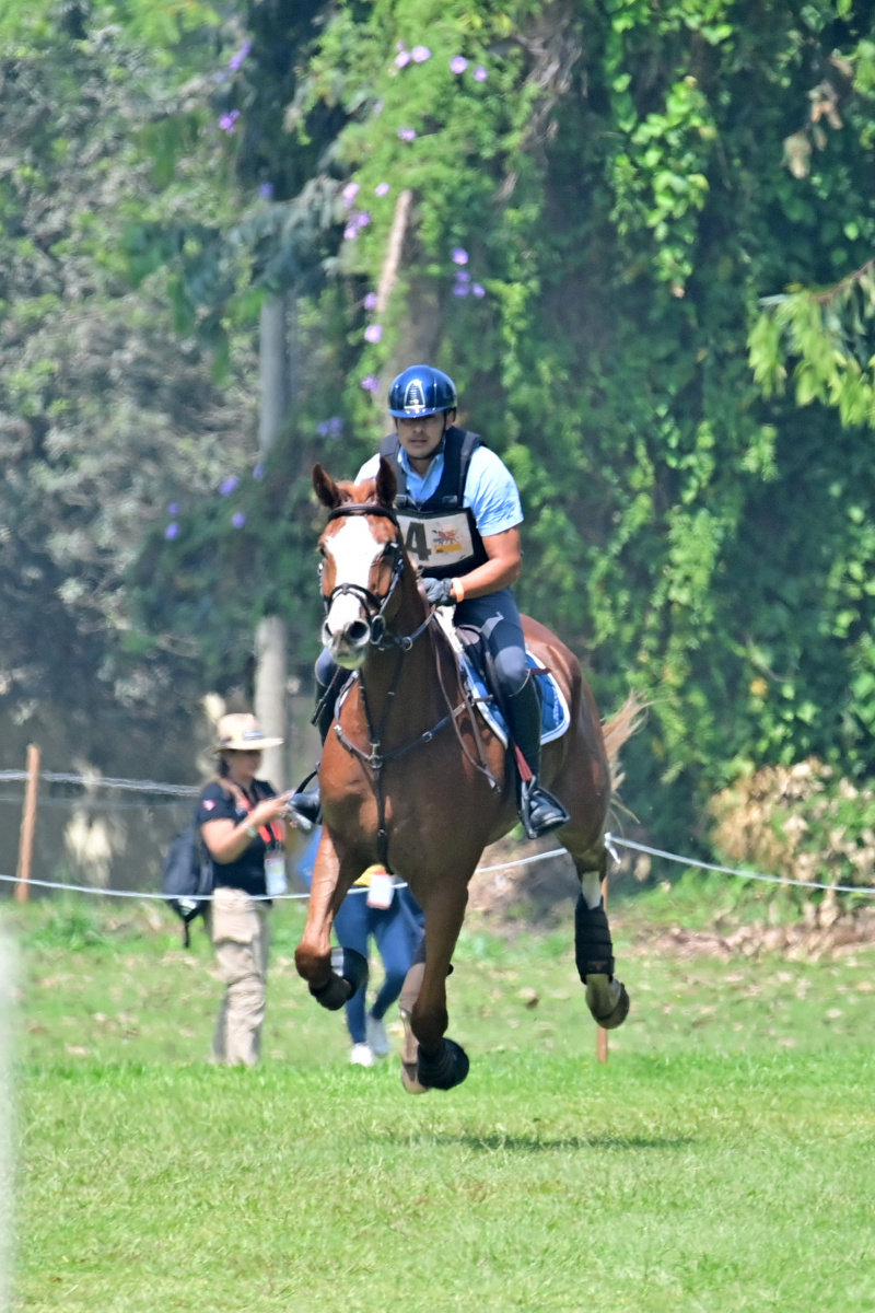 Bolivarian Gold Just the Start For Daniel Sarango and Homebred Icarus ...