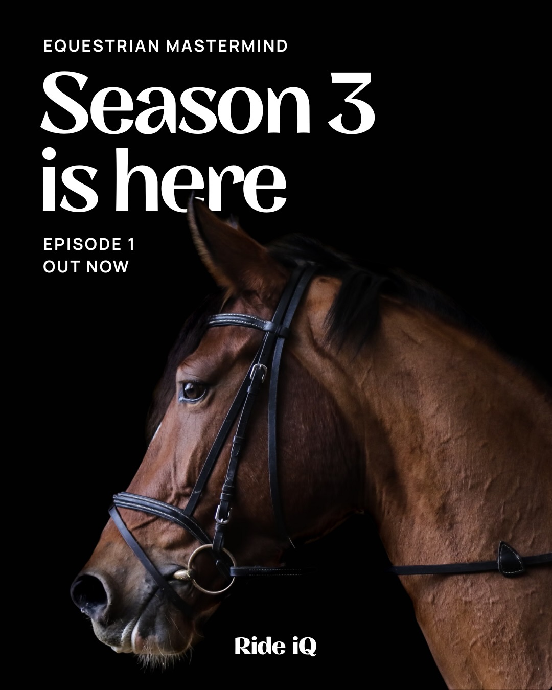 Tuesday News & Notes from Kentucky Performance Products | Eventing ...